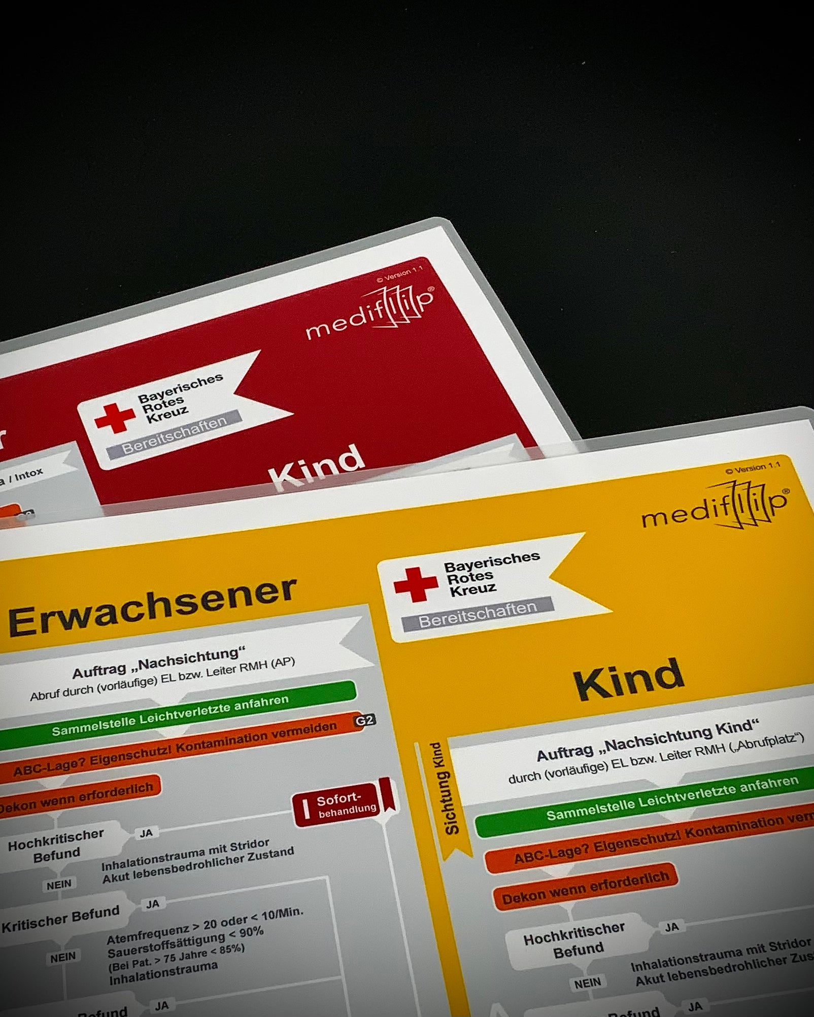 Algorithmus mSTaRT Vorsichtung – Mediflip